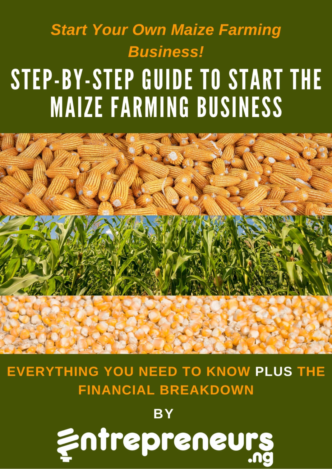 Start Your Own Maize Farming Business With This Step-by-step Guide