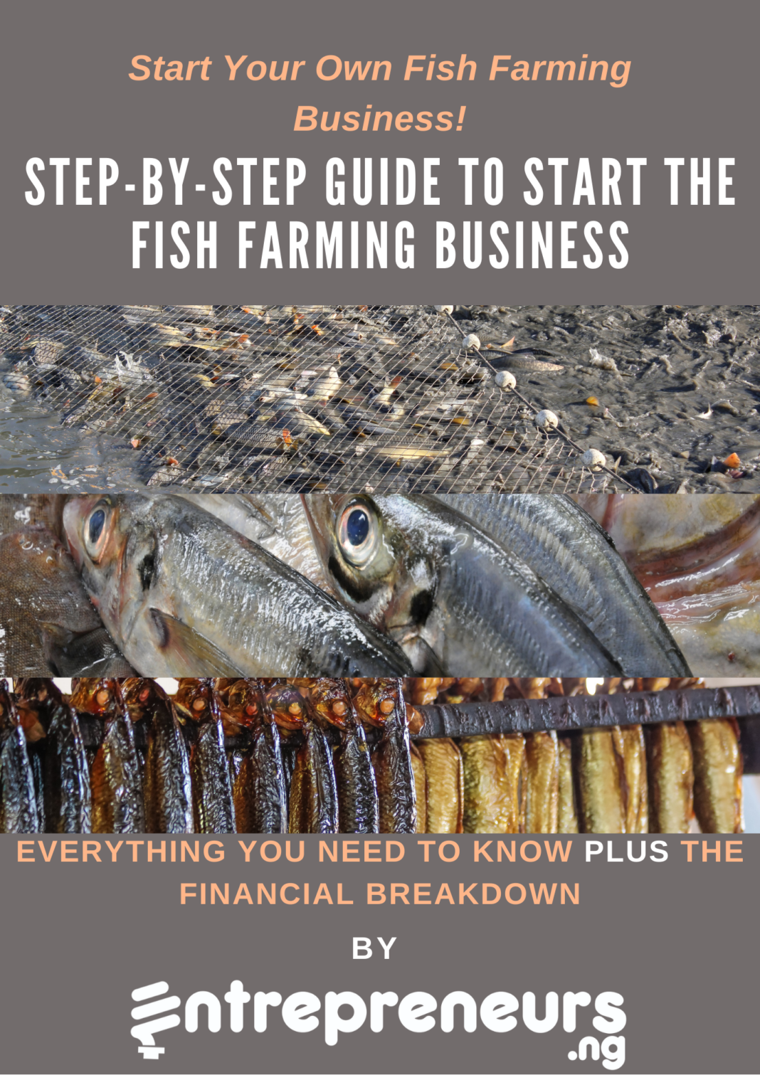 Start Your Own Fish Farming Business With This Step-by-step Guide