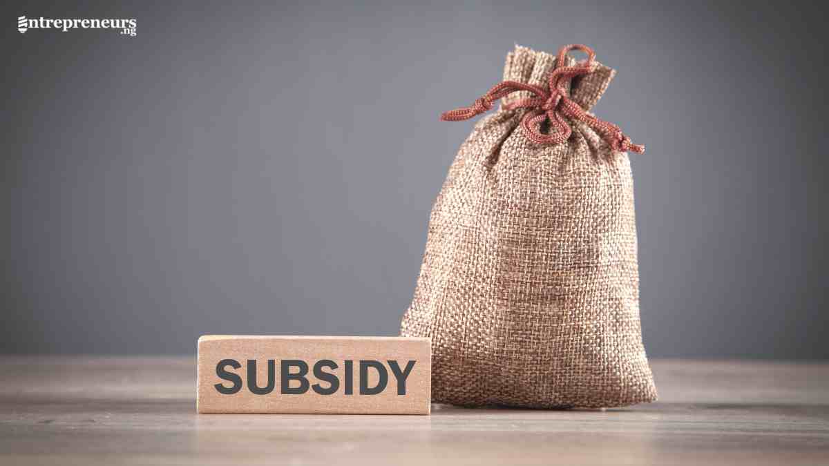 What Is Subsidy and How Does It Impact Businesses Today? 2025 Proven Guide
