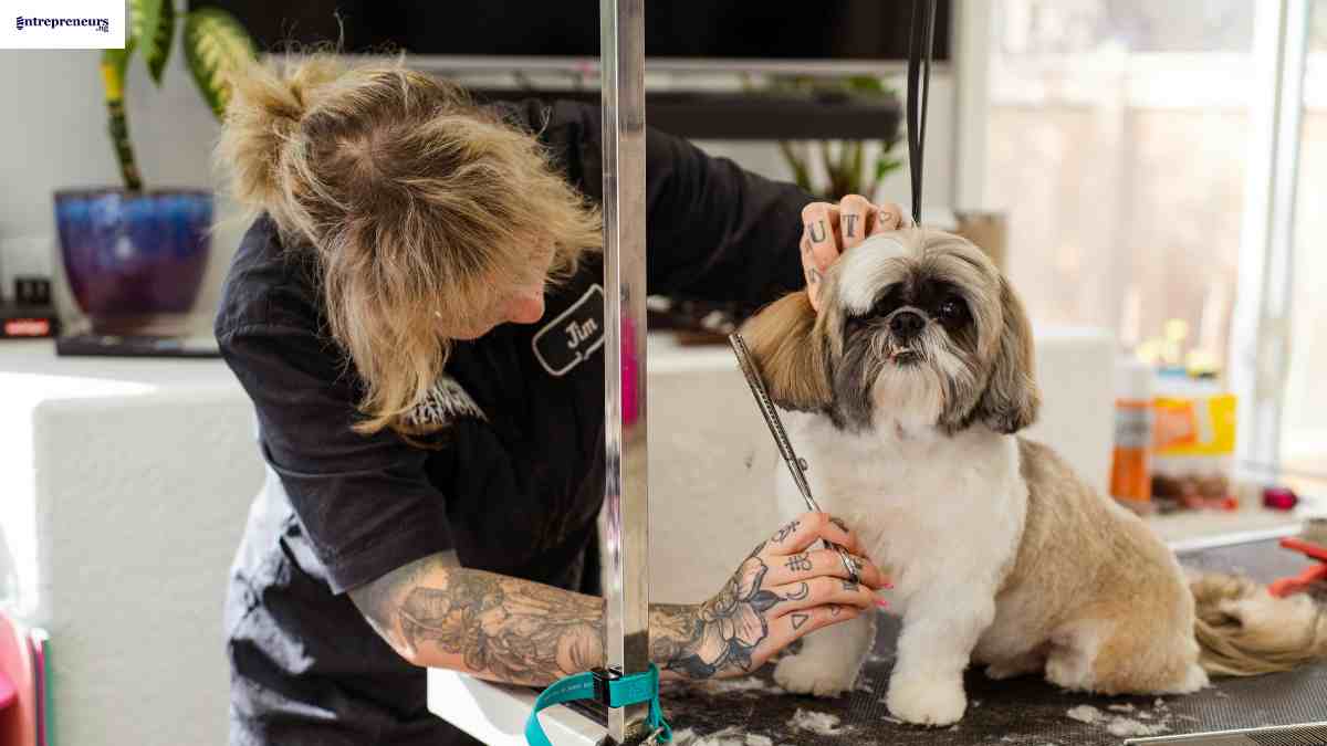 How to Start a Pet Grooming Business in 8 Easy Steps - The Complete Guide